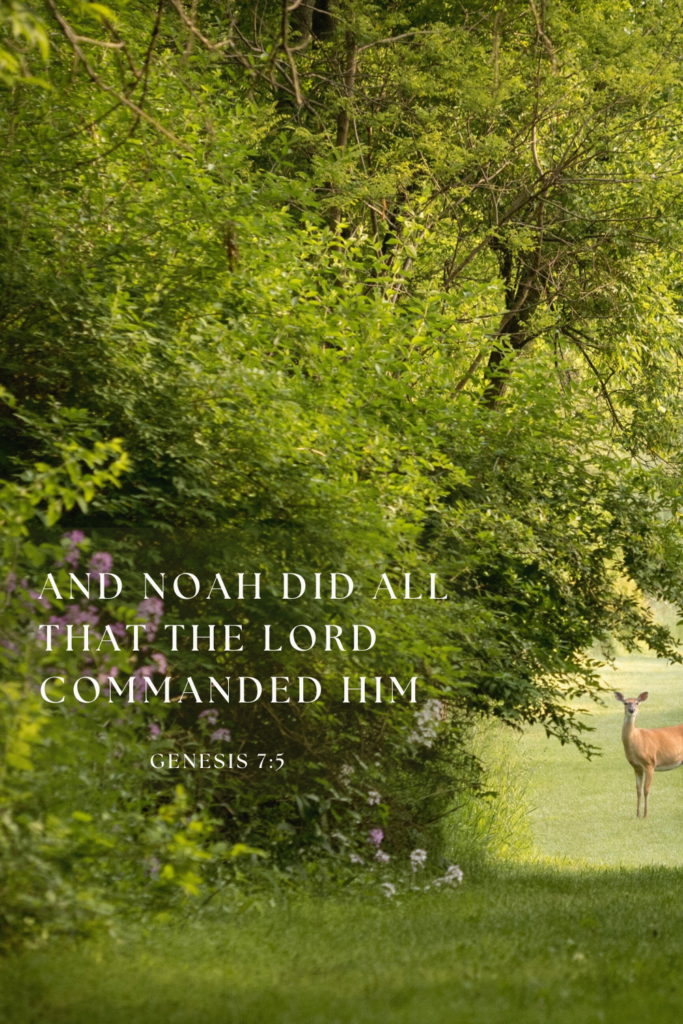 Humility and Boldness: How Noah's Faith Can Inspire You - Little Fire Faith